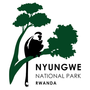 Nyungwe National Park - Nyungwe