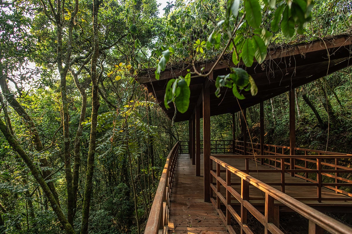 Uwinka Campsites and Guesthouse - Nyungwe